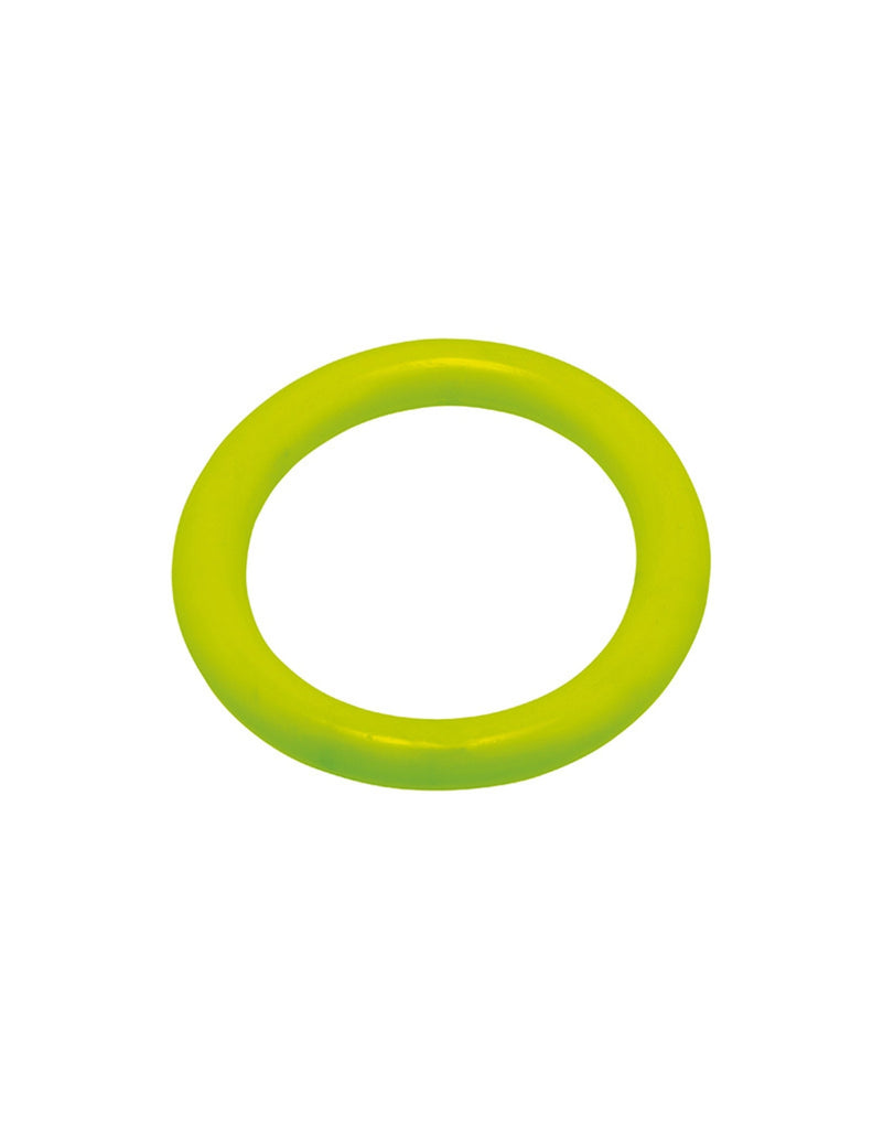 Fashy Swim Diving Ring | Simply Swim | Simply Swim UK